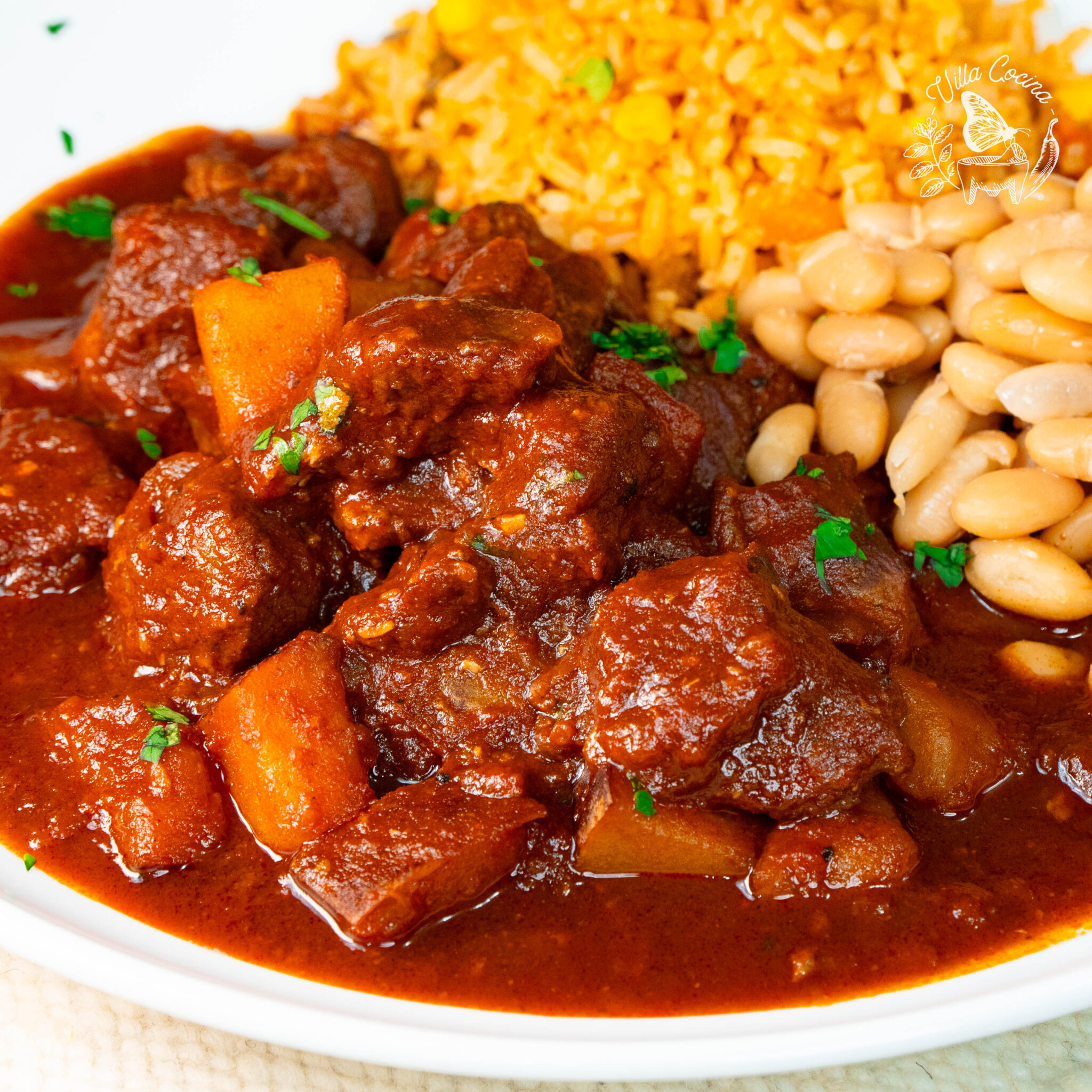 Chile Colorado Recipe - Villa Cocina