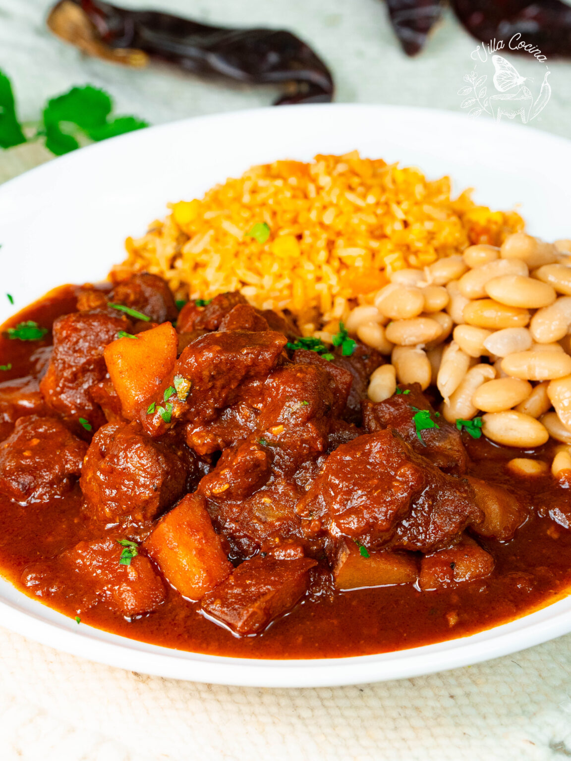 Chile Colorado Recipe - Villa Cocina