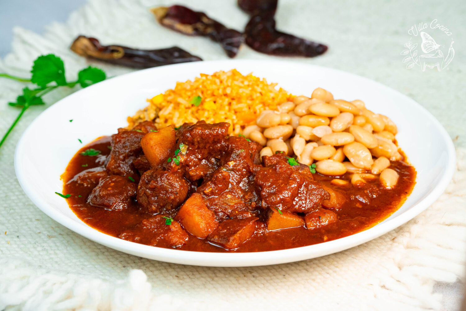 Chile Colorado Recipe - Villa Cocina