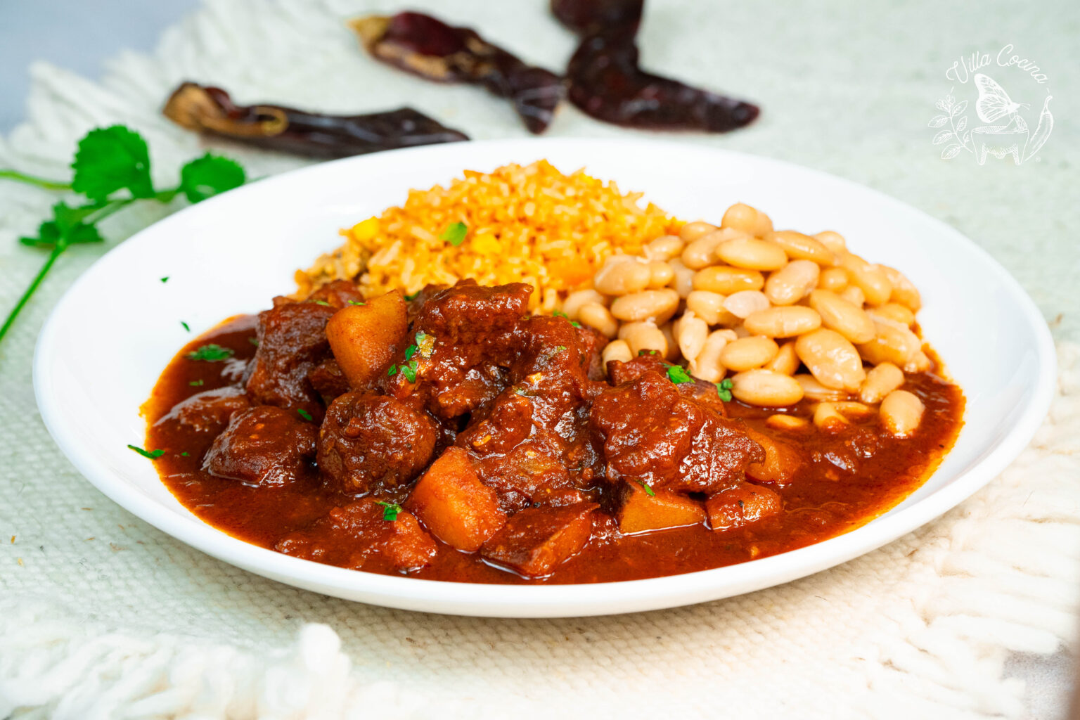 Chile Colorado Recipe - Villa Cocina