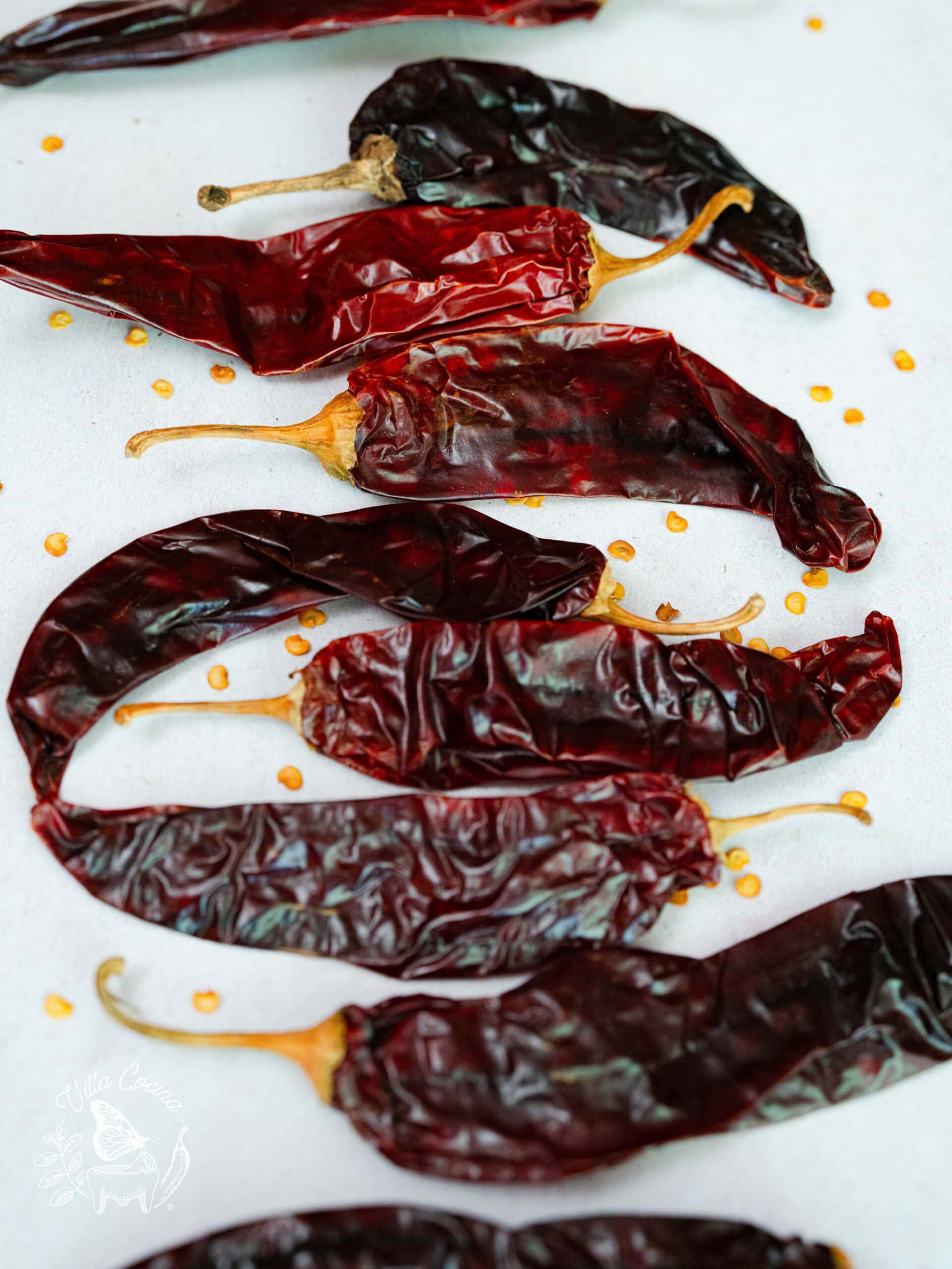 Chile Colorado Recipe - Villa Cocina