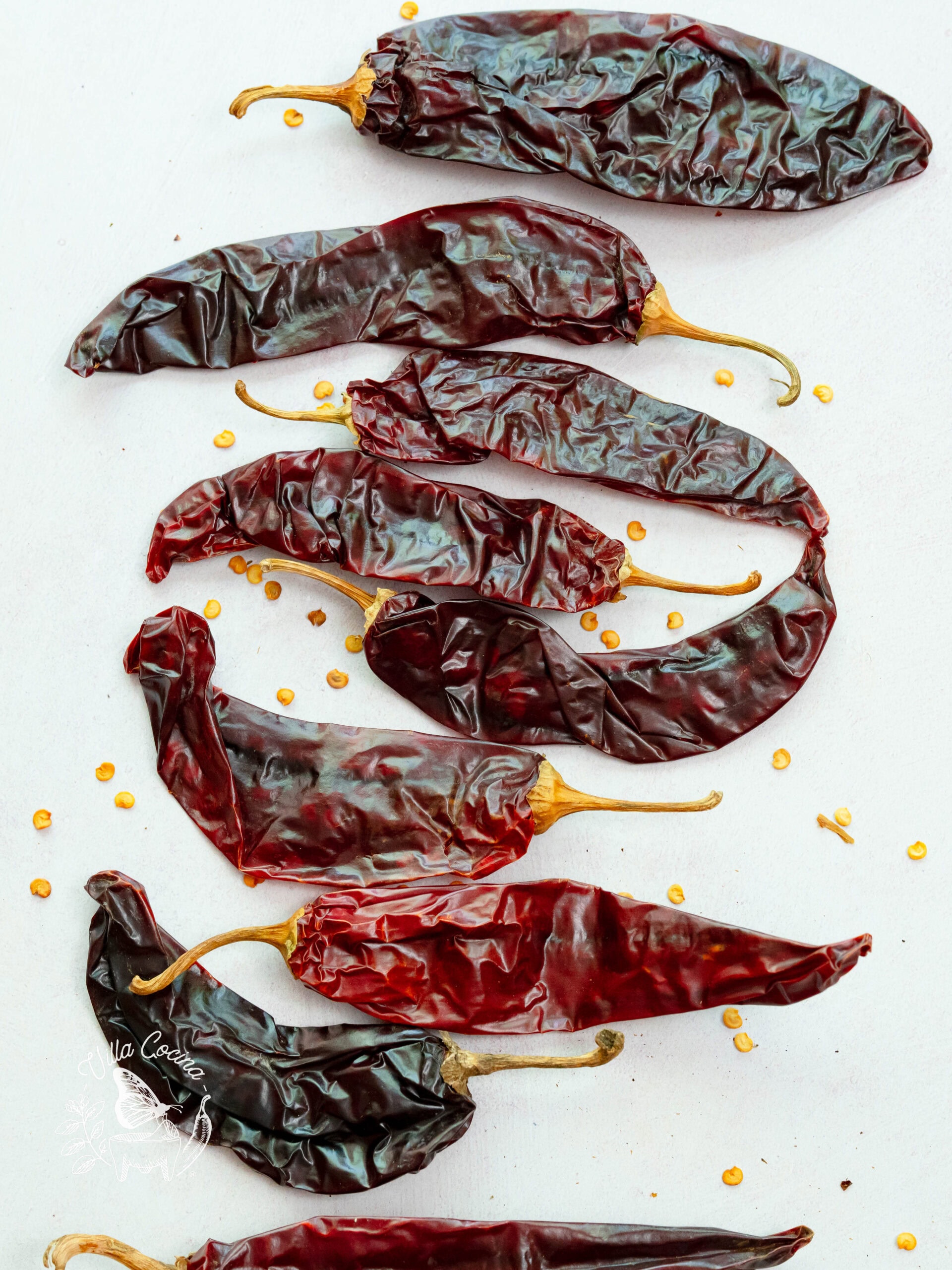 Mexican Dried Peppers - Villa Cocina