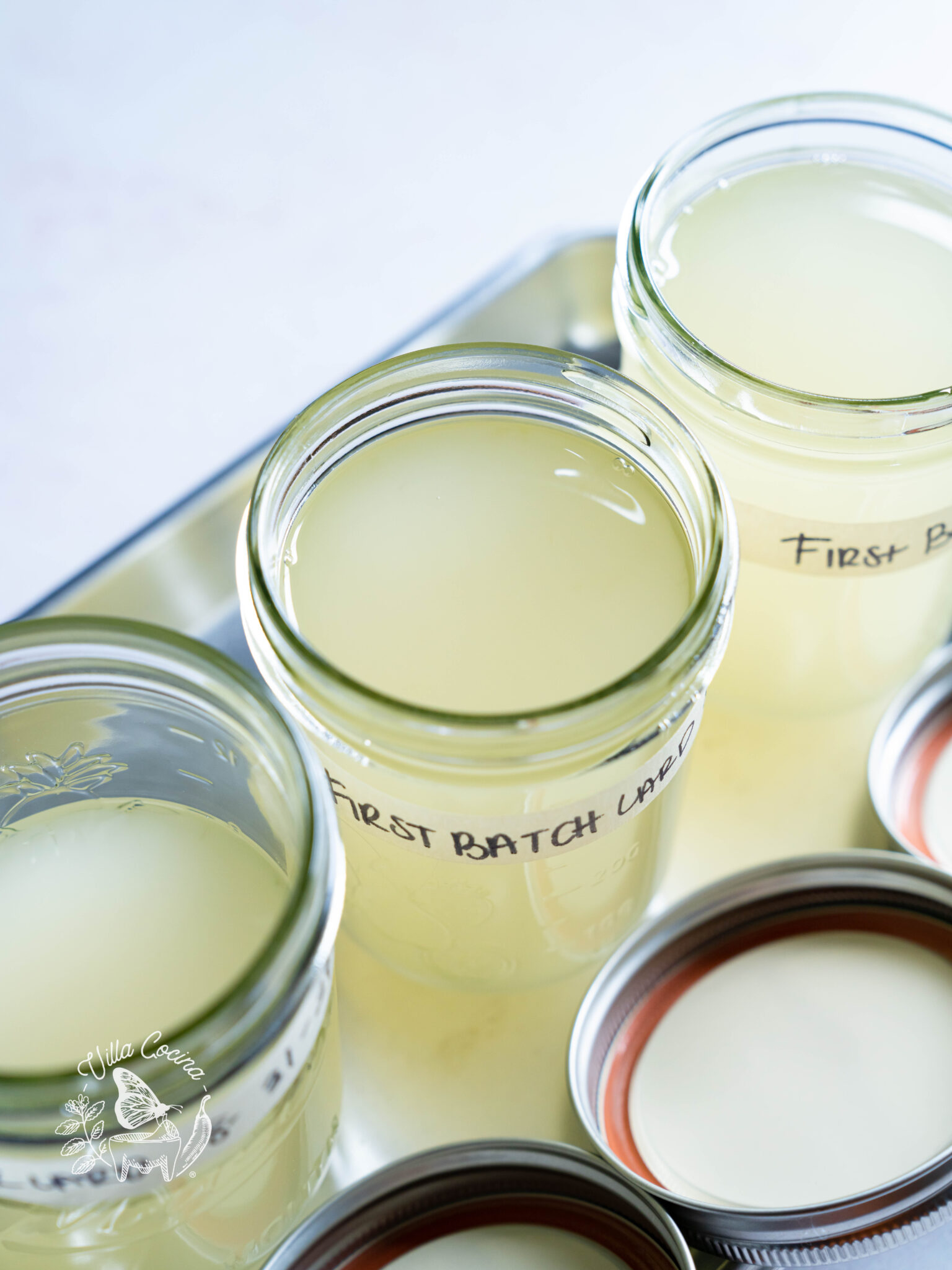 Basics of Rendering Lard - Villa Cocina