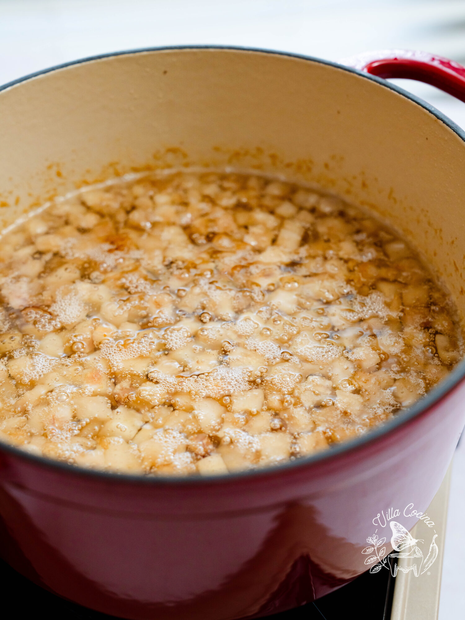 Basics of Rendering Lard - Villa Cocina