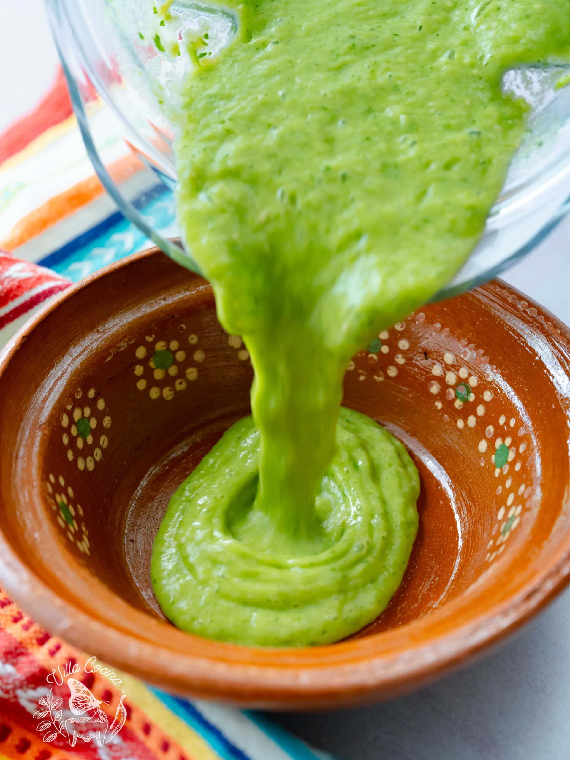 Avocado Salsa - Villa Cocina