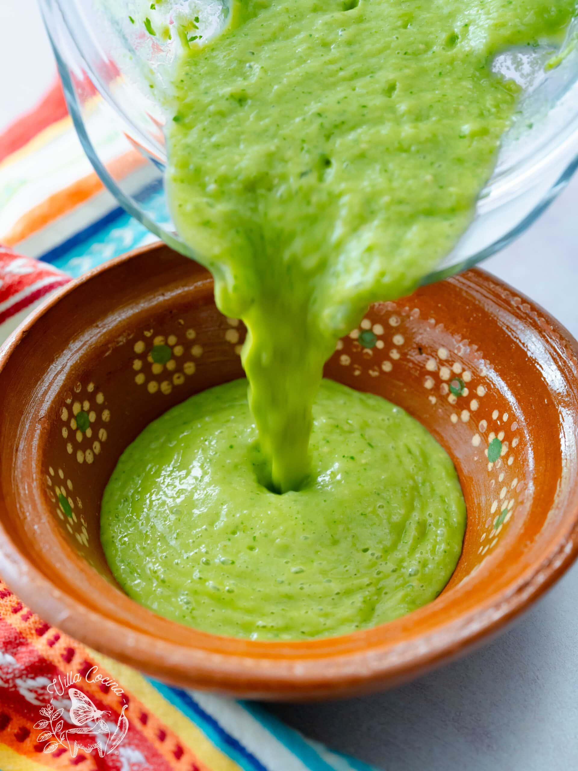 Avocado Salsa - Villa Cocina