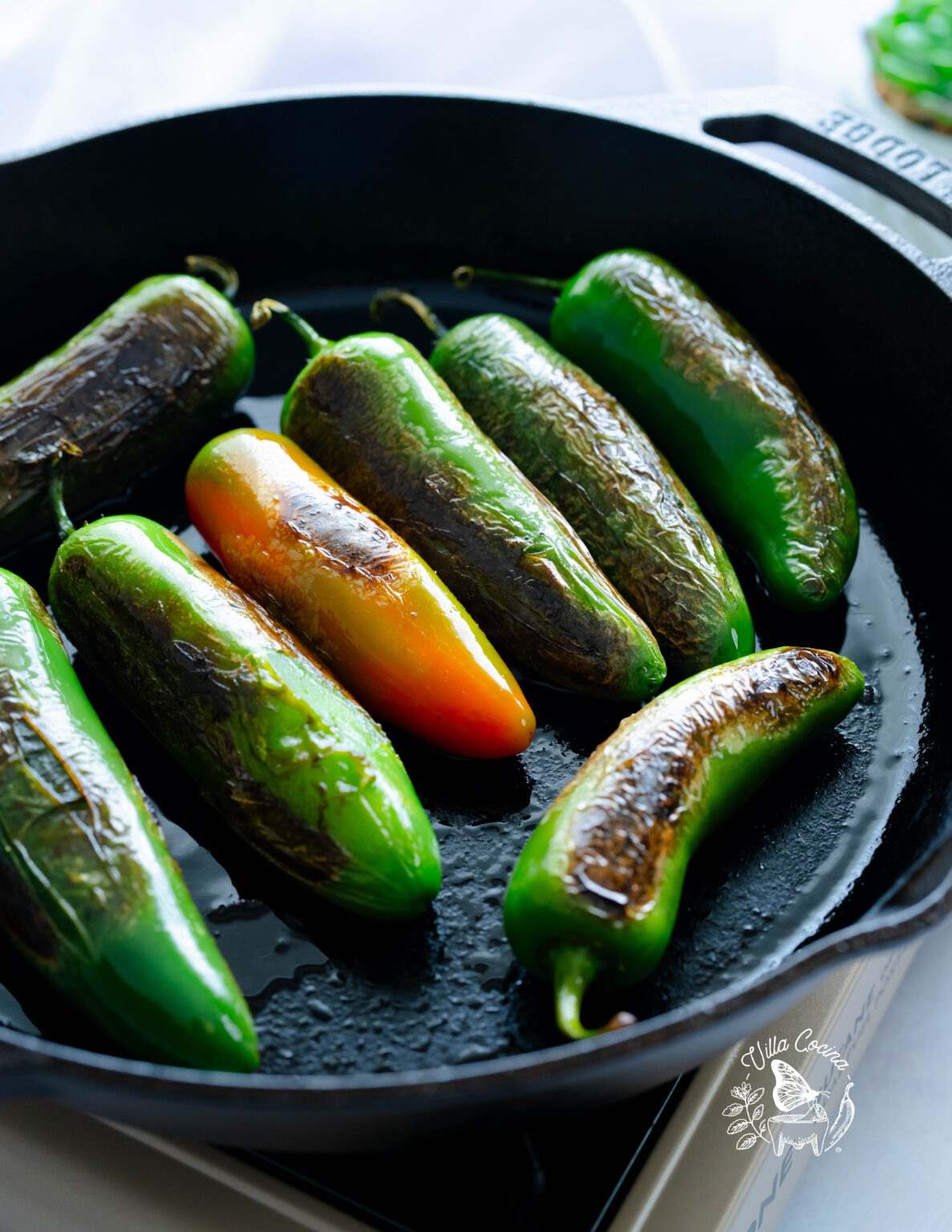 Chiles Toreados - Villa Cocina