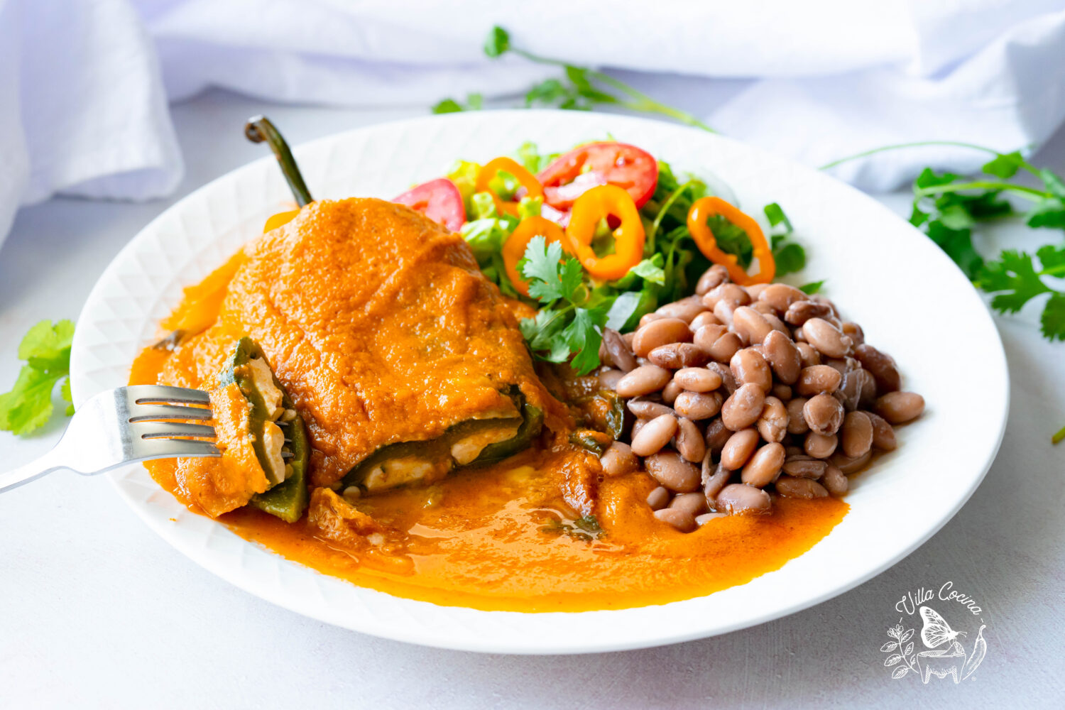 Sopa de pollo (Mexican chicken soup) - Villa Cocina