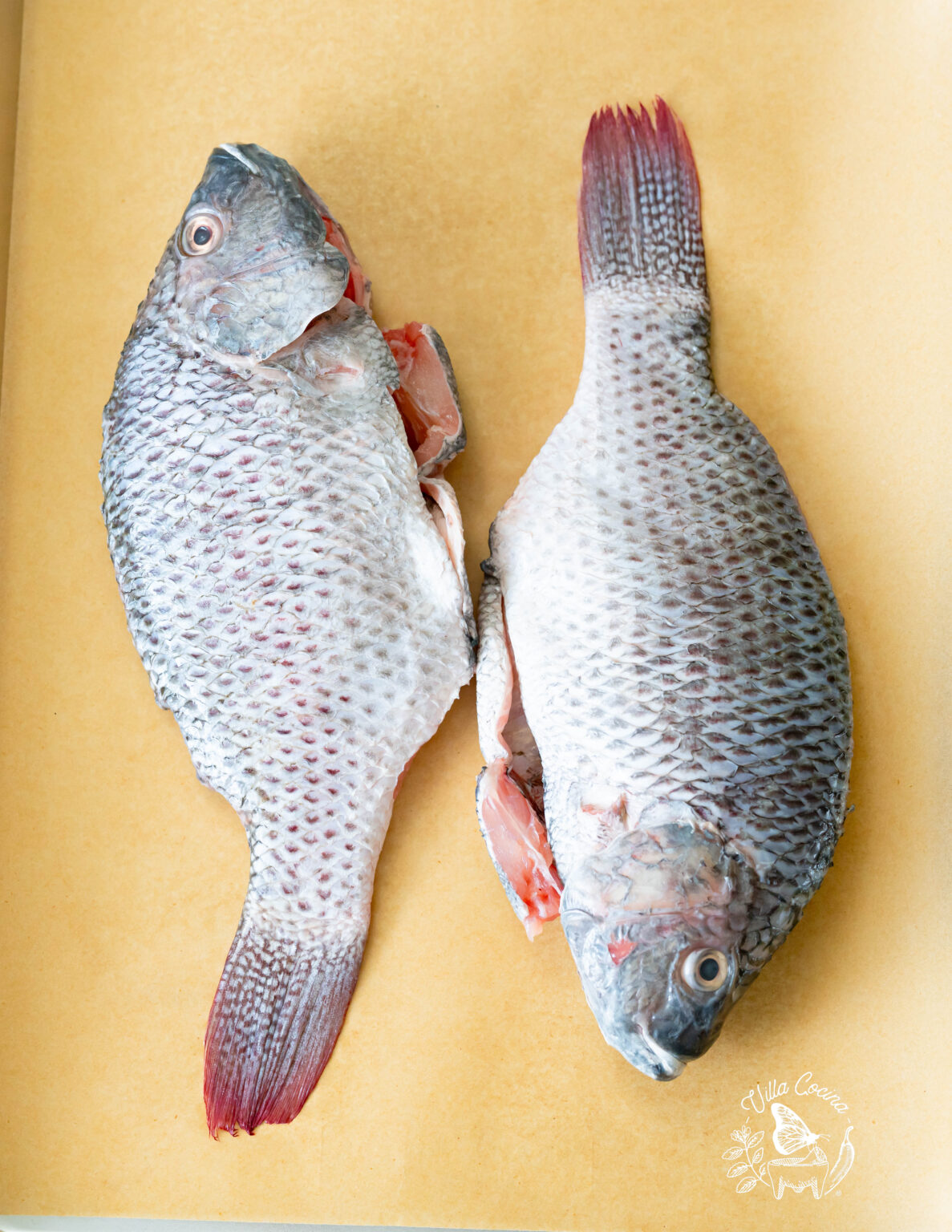 Mojarras Fritas - Villa Cocina