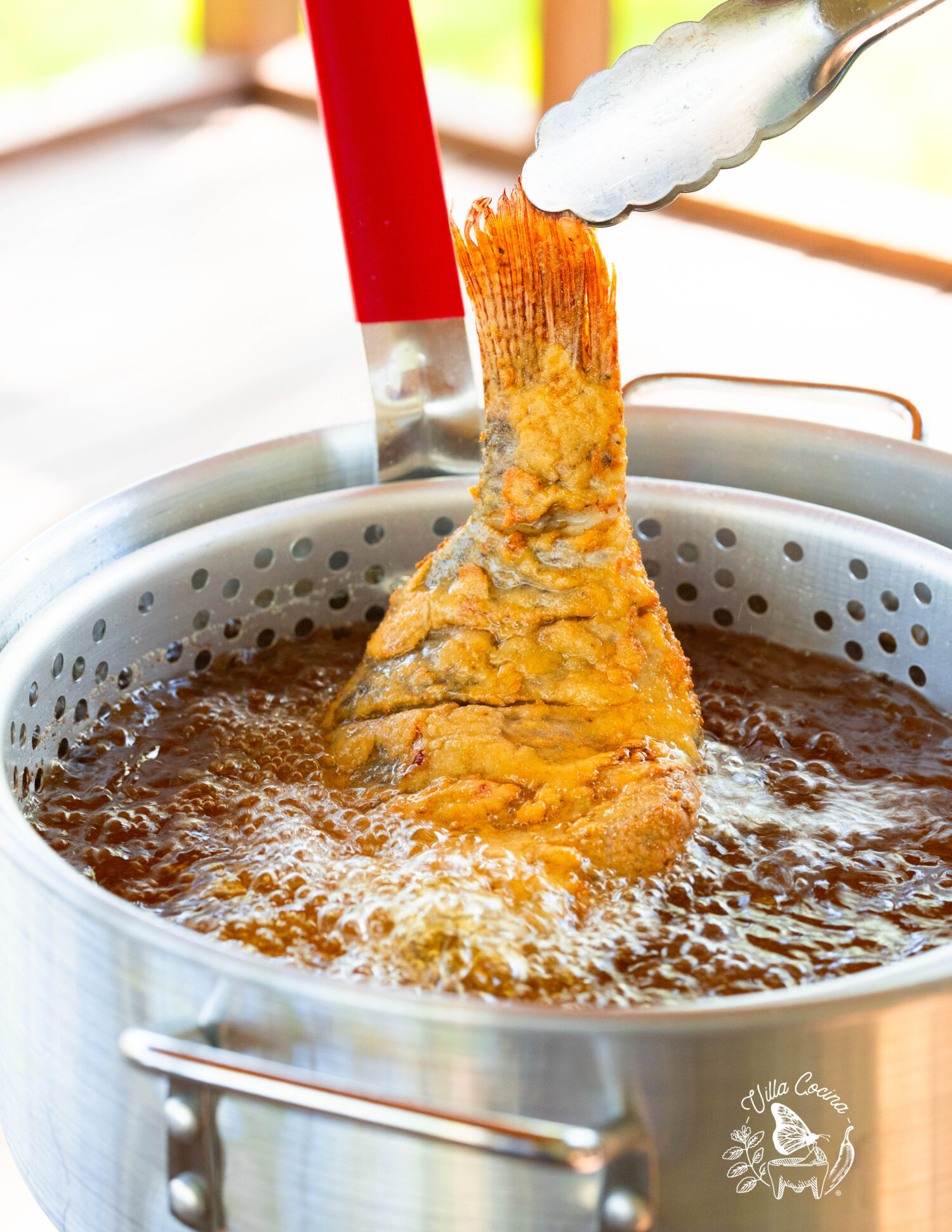 Mojarras Fritas - Villa Cocina