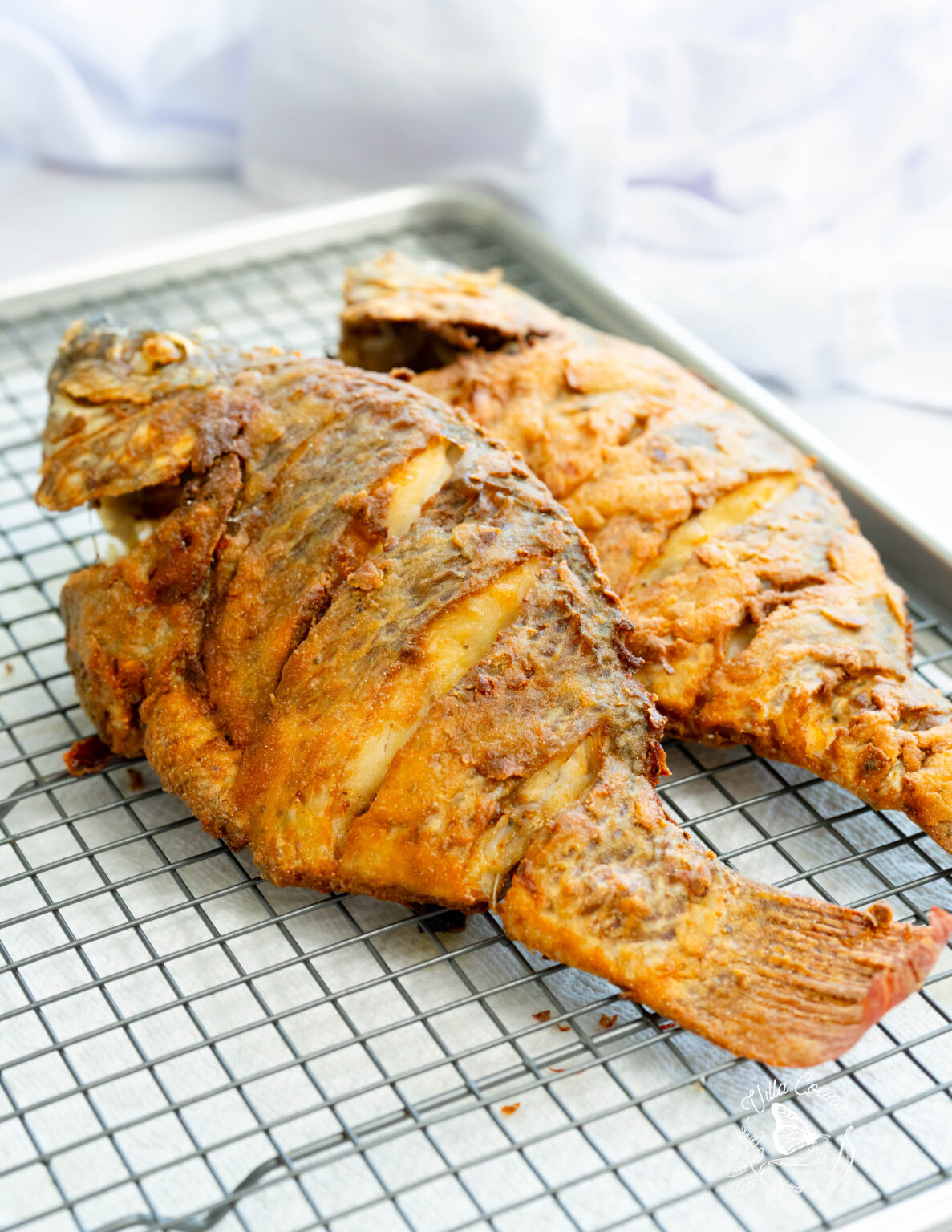 Mojarras Fritas - Villa Cocina