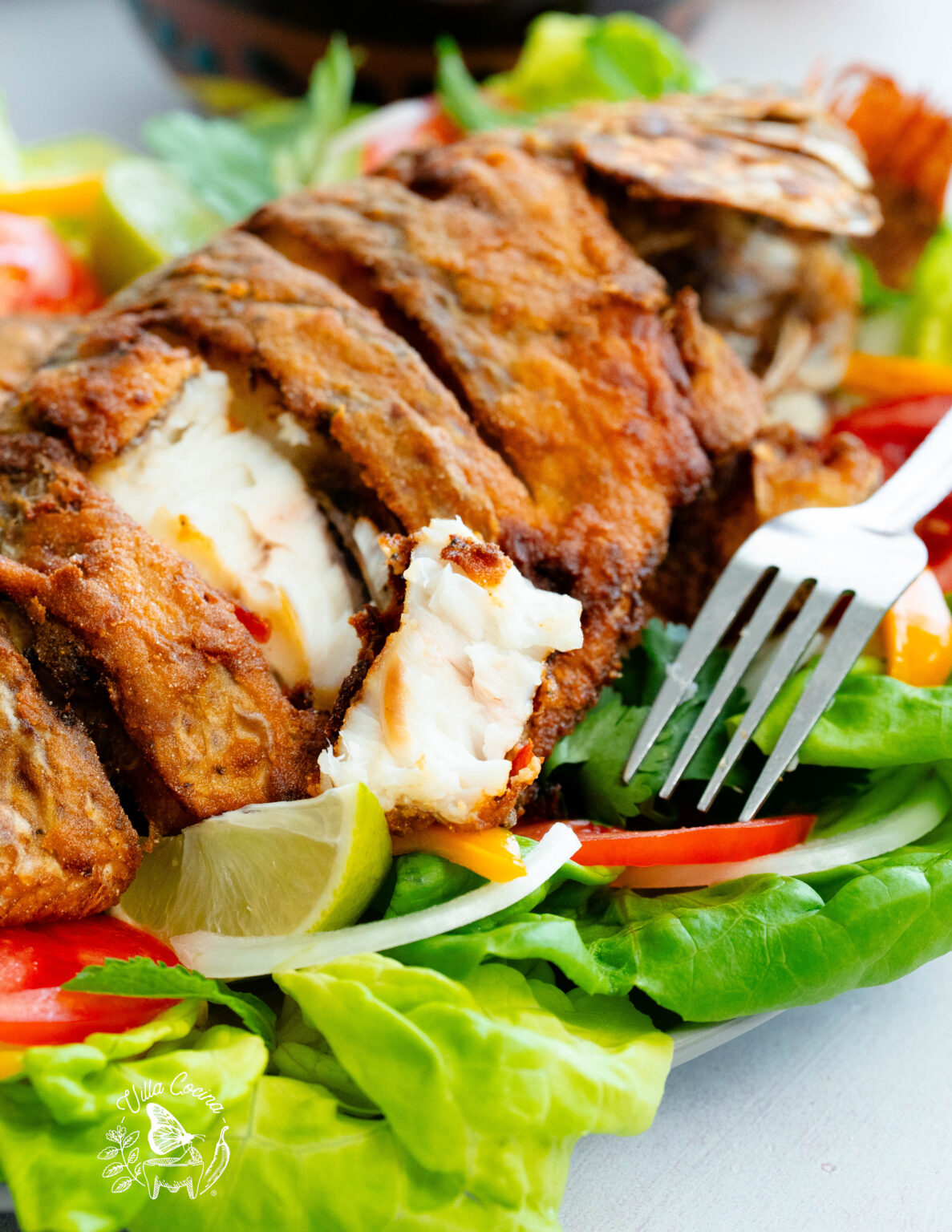 Mojarras Fritas - Villa Cocina