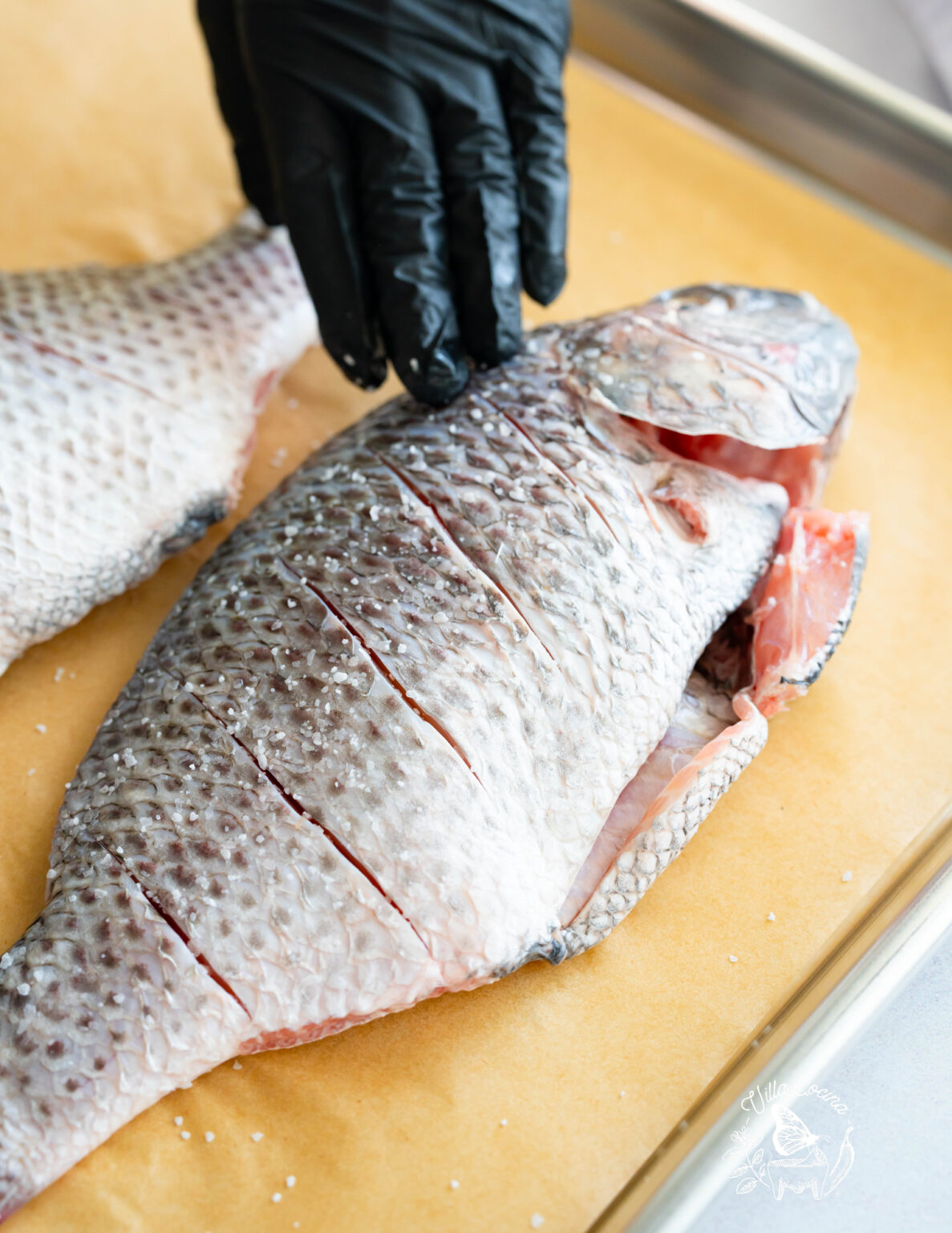 Mojarras Fritas - Villa Cocina