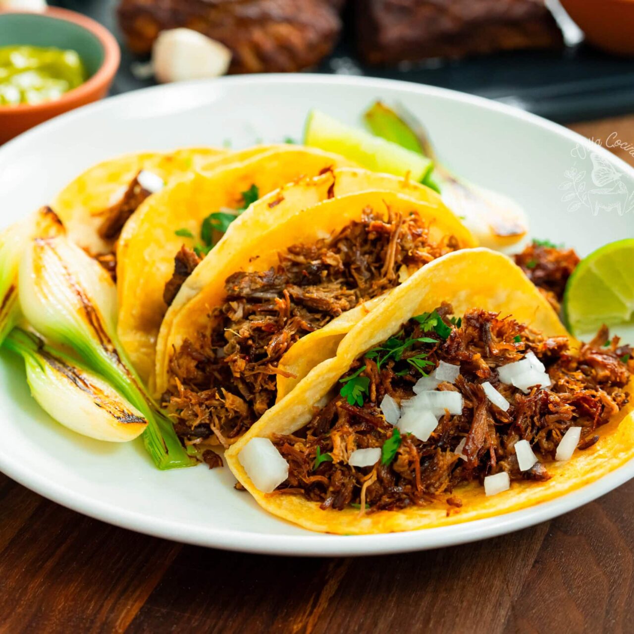 Mexican Discada Recipe - Villa Cocina