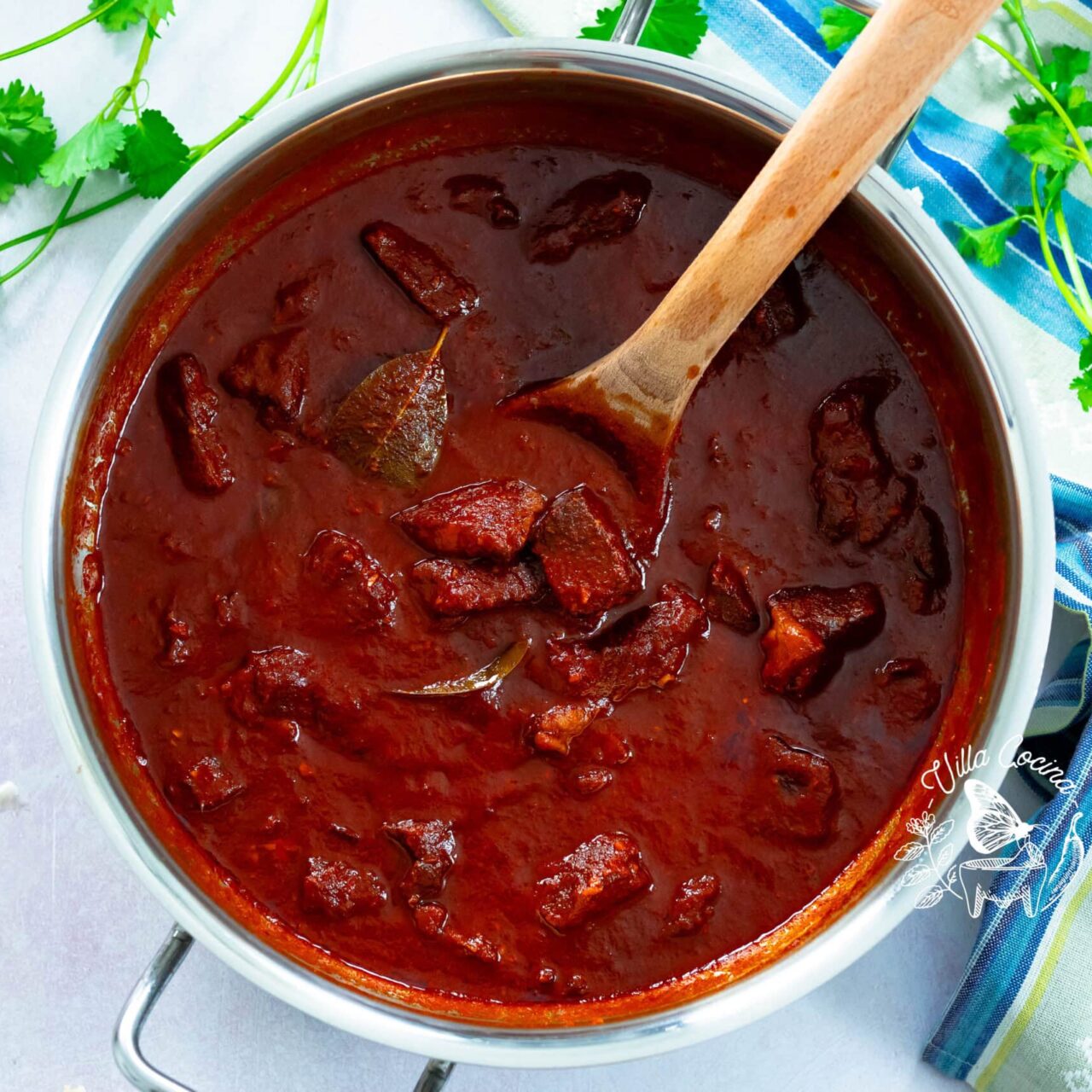 Chile Colorado Recipe - Villa Cocina